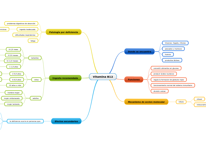 Vitamina B12 - Mind Map